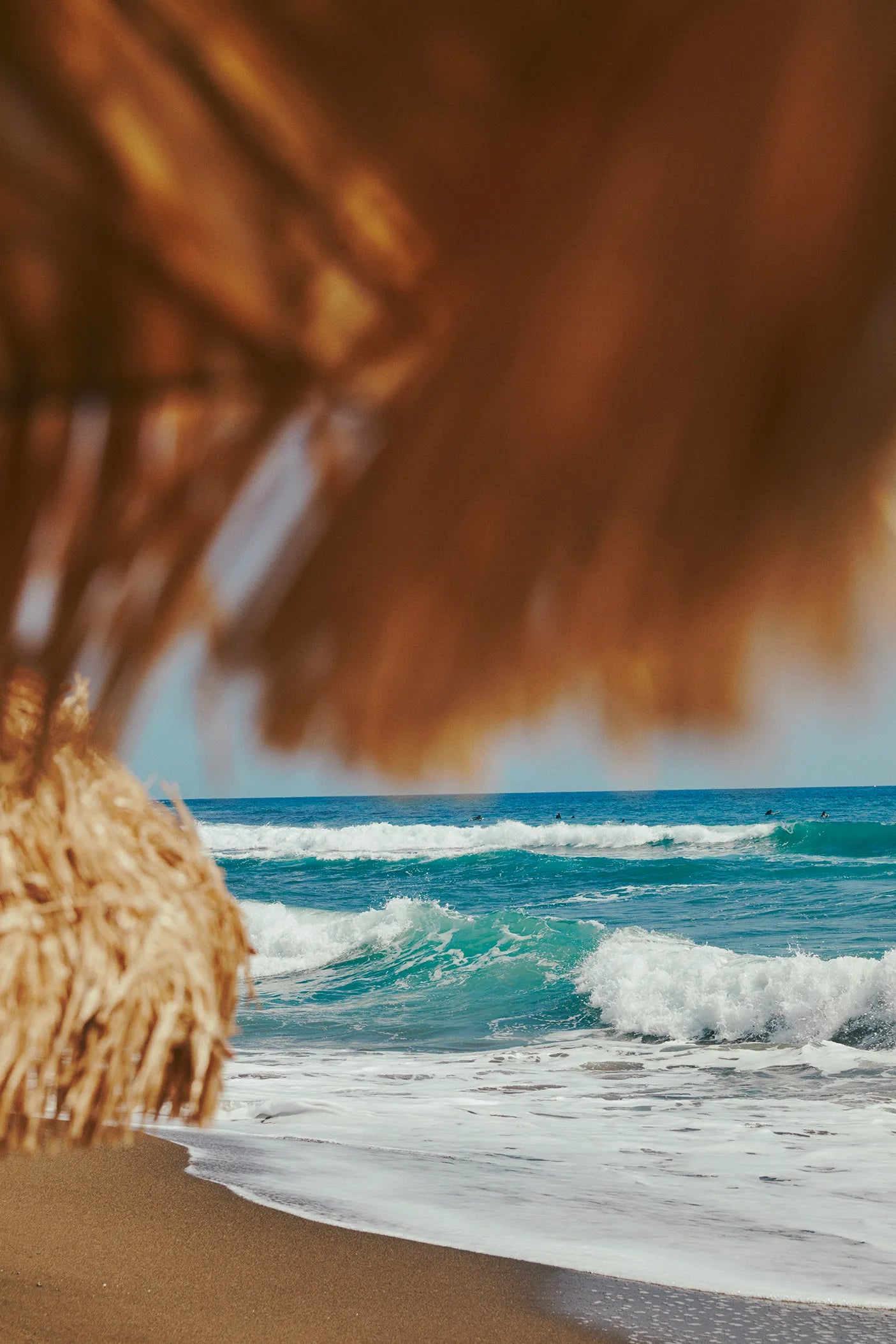 BEACH/EVERYDAY – THE PALM ROOF